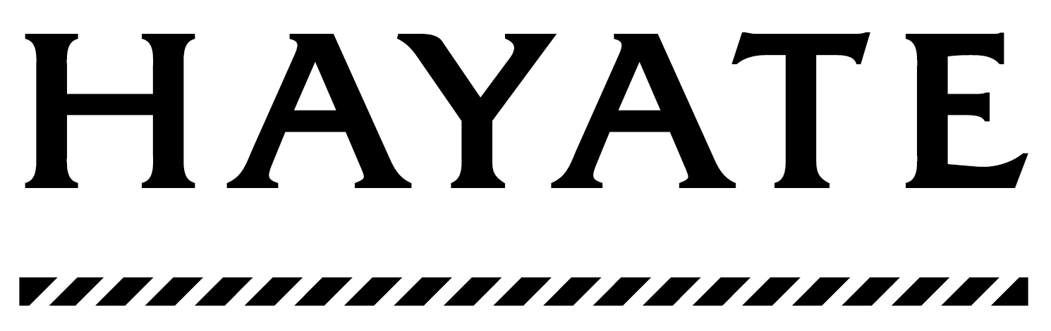 事業ミッション - Hayate Group